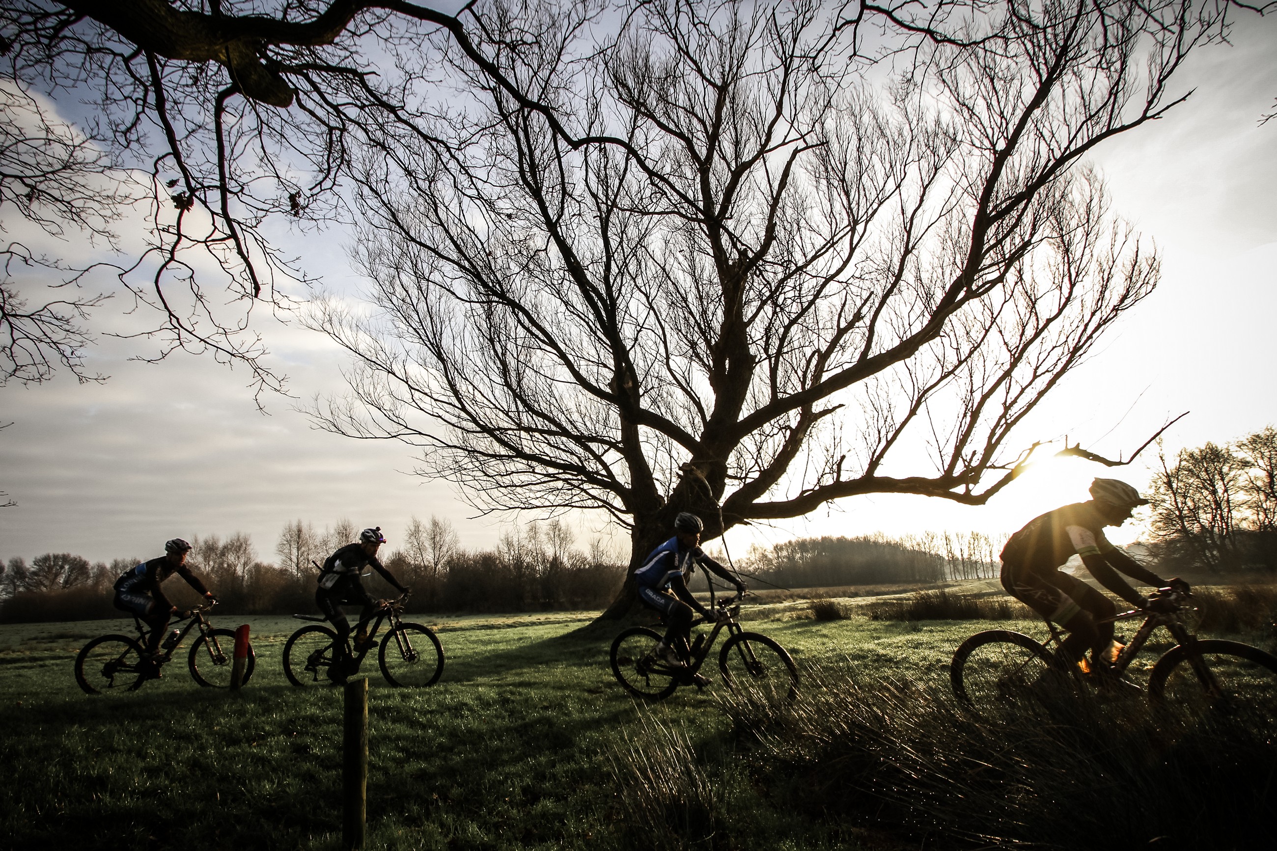 Fietsen biedt kansen voor Drenthe > Op Fietse in Drenthe